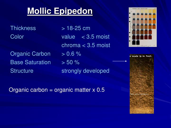 PPT - Soil Morphology and Classification PowerPoint Presentation - ID ...
