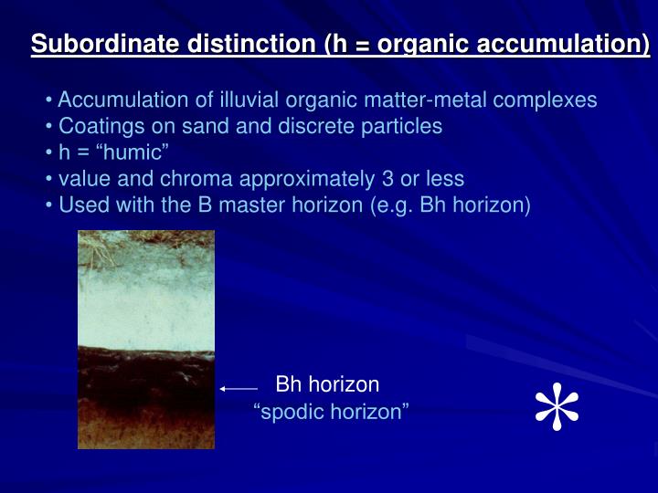 PPT - Soil Morphology and Classification PowerPoint Presentation - ID ...
