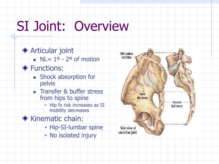 PPT - Sacroiliac Dysfunction PowerPoint Presentation - ID:270693