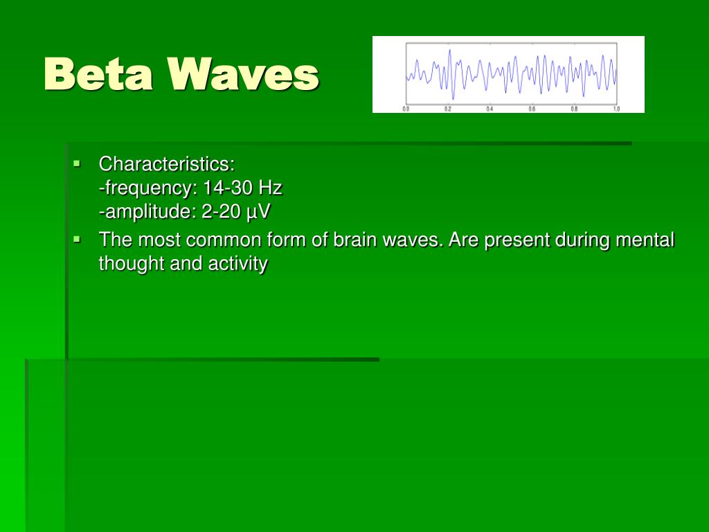 PPT - Electroencephalogram (EEG): Measuring Brain Waves PowerPoint ... PPT - Electroencephalogram (EEG): Measuring Brain Waves PowerPoint ...