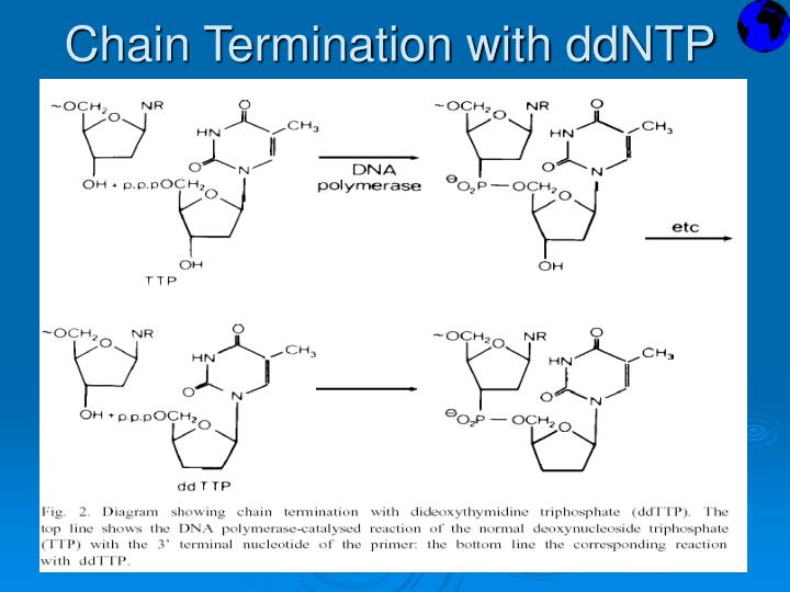 PPT - Twice Nobel Prize Winner PowerPoint Presentation - ID:271192