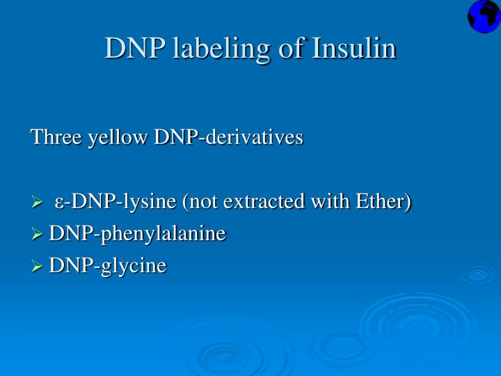 PPT - Twice Nobel Prize Winner PowerPoint Presentation - ID:271192