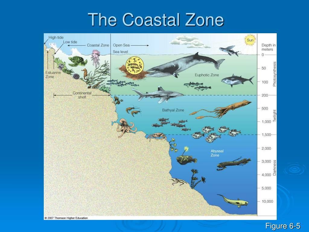 Ppt Chapter 6 Powerpoint Presentation Free Download Id 271249