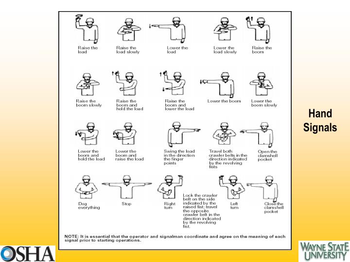 PPT - Module 3: Heavy Equipment PowerPoint Presentation - ID:271474