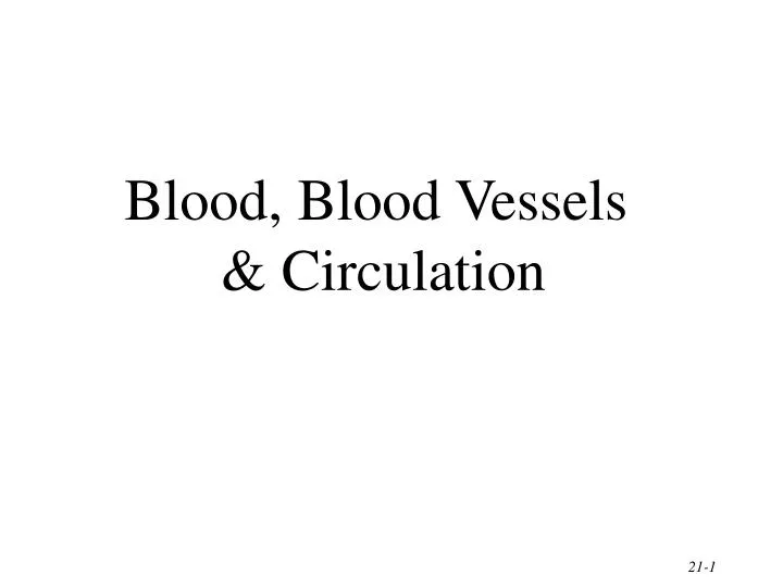 PPT - Blood, Blood Vessels & Circulation PowerPoint Presentation, free ...