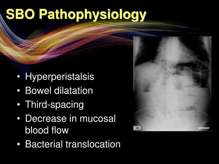 PPT - Small Bowel PowerPoint Presentation - ID:272078