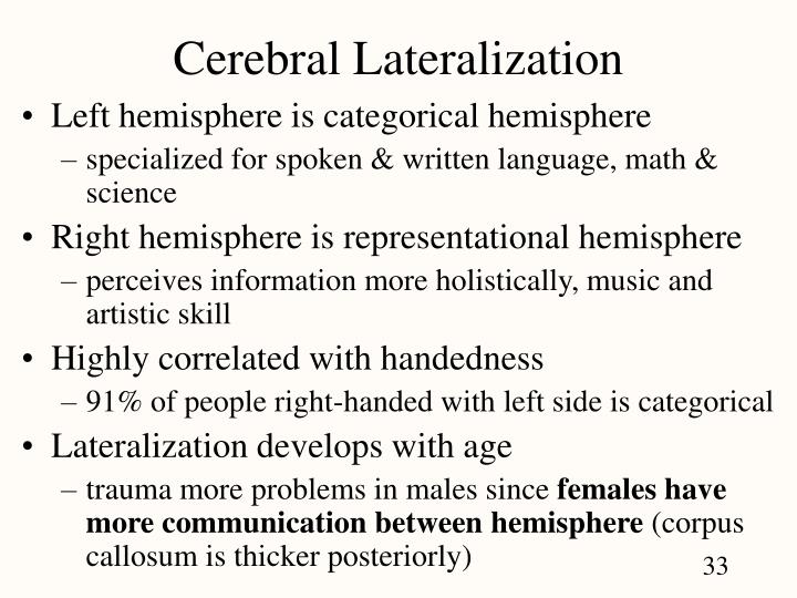 PPT - Chapter 14 The Central Nervous System PowerPoint Presentation ...