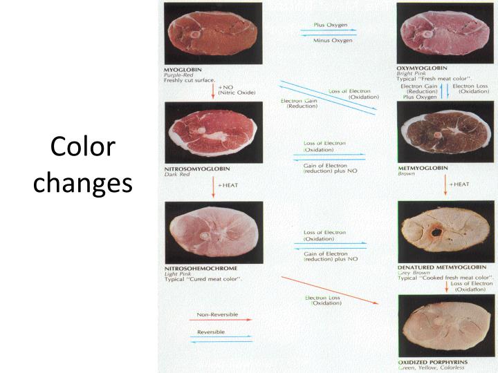 PPT - Meat Color PowerPoint Presentation - ID:272513