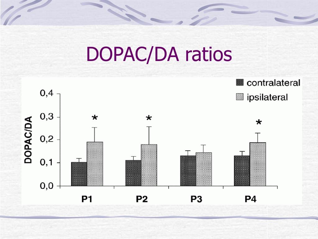 PPT - Presented by: Natasha Frett PowerPoint Presentation, free ...