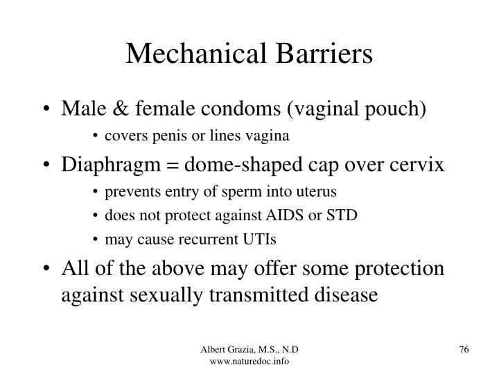 PPT - Chapter 28 Reproductive System PowerPoint Presentation - ID:275656
