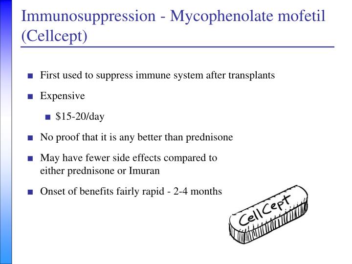 PPT - Myasthenia Gravis: A Neurologist’s Perspective PowerPoint ...