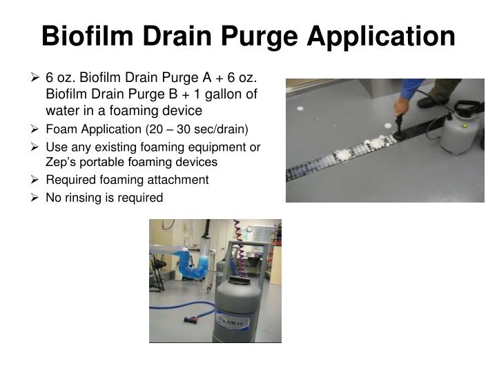 PPT - Innovative Solution to Control Biofilm in Drains PowerPoint ...