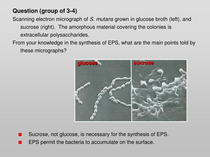 PPT - Cariogenic Aspects of Dental Plaque PowerPoint Presentation - ID ...