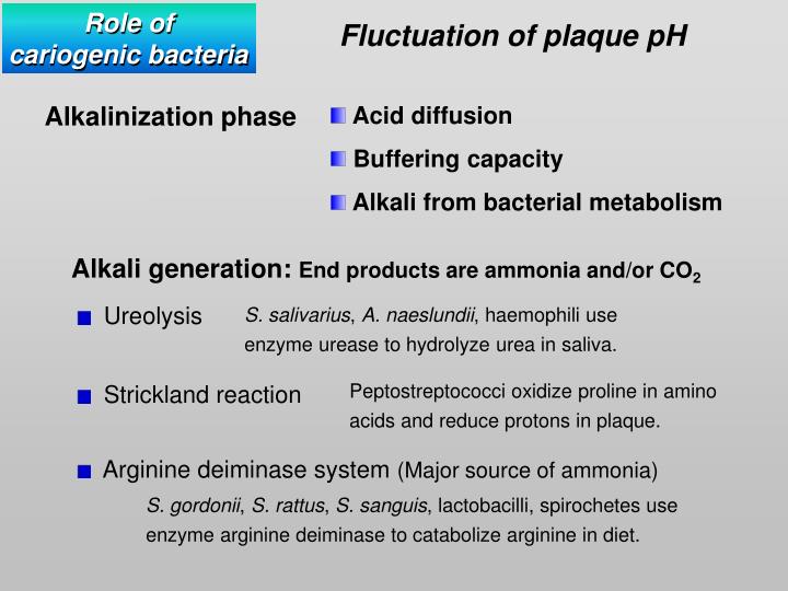 PPT - Cariogenic Aspects of Dental Plaque PowerPoint Presentation - ID ...