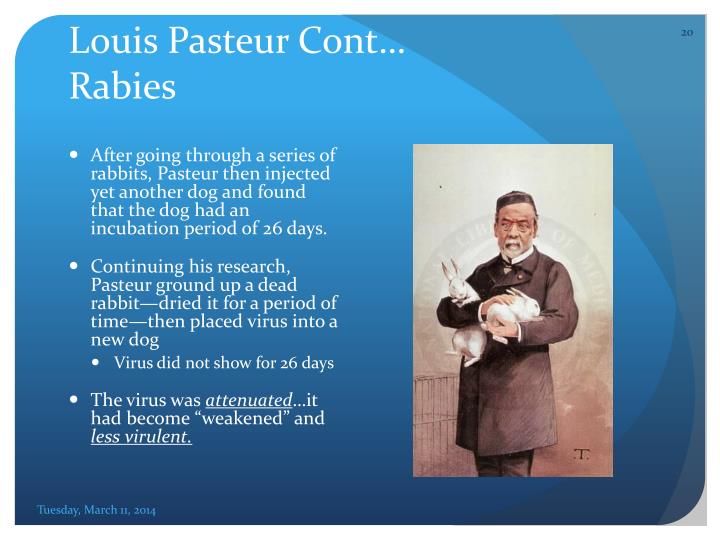 PPT - History of Medicine II Microbiology PowerPoint Presentation - ID ...