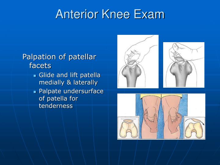 PPT - MS3 Sports Medicine Workshop PowerPoint Presentation - ID:278211