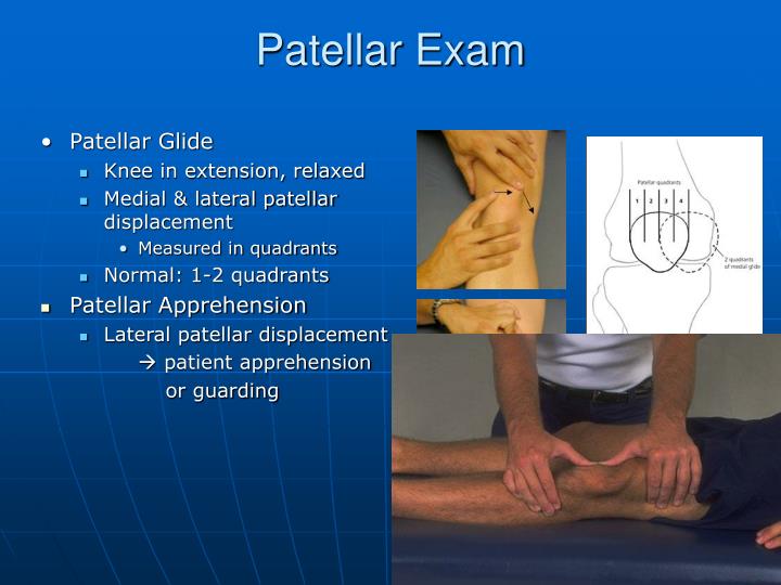 PPT - MS3 Sports Medicine Workshop PowerPoint Presentation - ID:278211