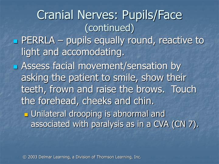 PPT - Principles of Patient Assessment in EMS PowerPoint Presentation ...