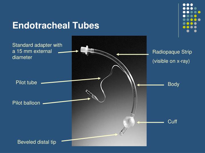 PPT - Airway Management Part I PowerPoint Presentation - ID:279323