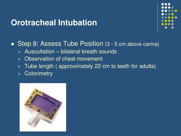 PPT - Airway Management Part I PowerPoint Presentation - ID:279323