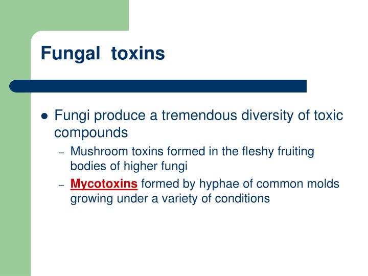 PPT - Poisonous Plants, Fungi, and Algae PowerPoint Presentation - ID ...