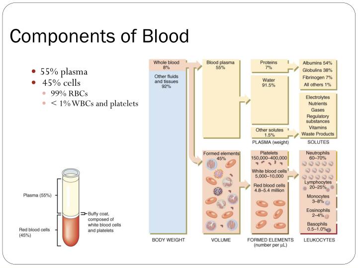 PPT - CMWM633 WESTERN MEDICAL LABORATORY & IMAGING Credit hour: 3 ...