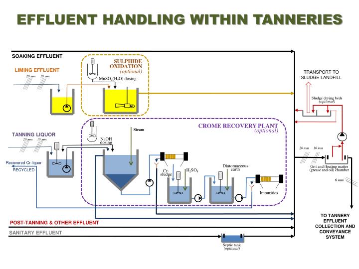 PPT - INTRODUCTION TO T HE T REATMENT OF TANNERY EFFLUENTS PowerPoint ...