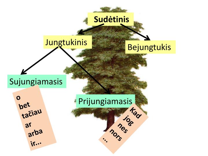 PPT - Kalbos dalys PowerPoint Presentation - ID:282664
