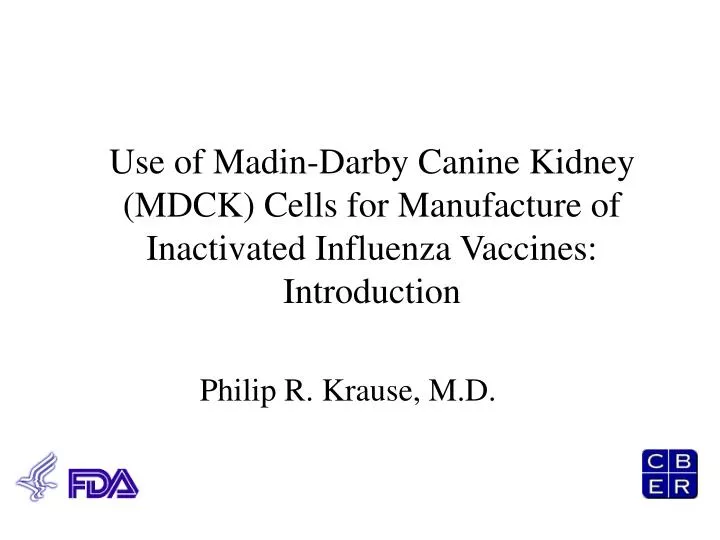 PPT - Use of Madin-Darby Canine Kidney (MDCK) Cells for Manufacture of ...