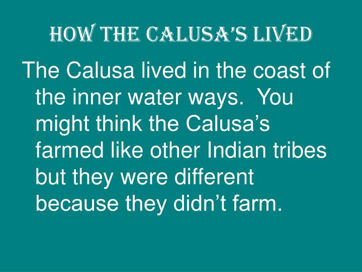 PPT - The calusa tribe PowerPoint Presentation - ID:283187