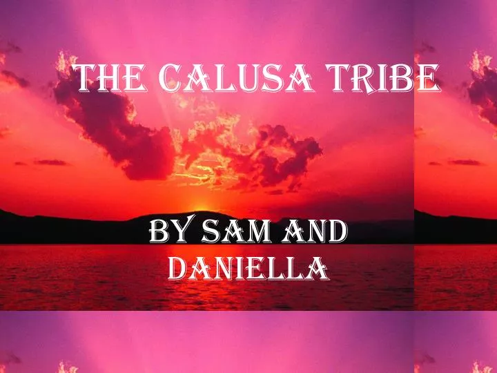 PPT - The calusa tribe PowerPoint Presentation, free download - ID:283187