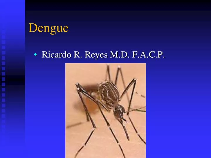 PPT - Dengue PowerPoint Presentation, free download - ID:283216
