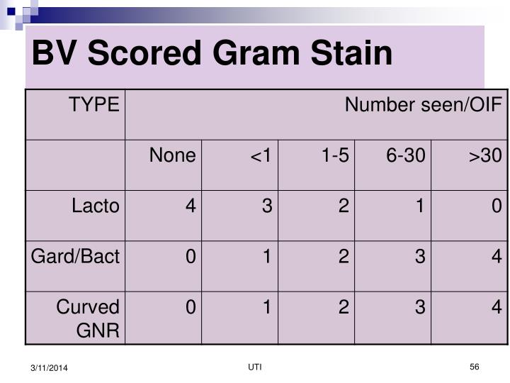 PPT - Laboratory Diagnosis of Urinary Tract Infections PowerPoint ...