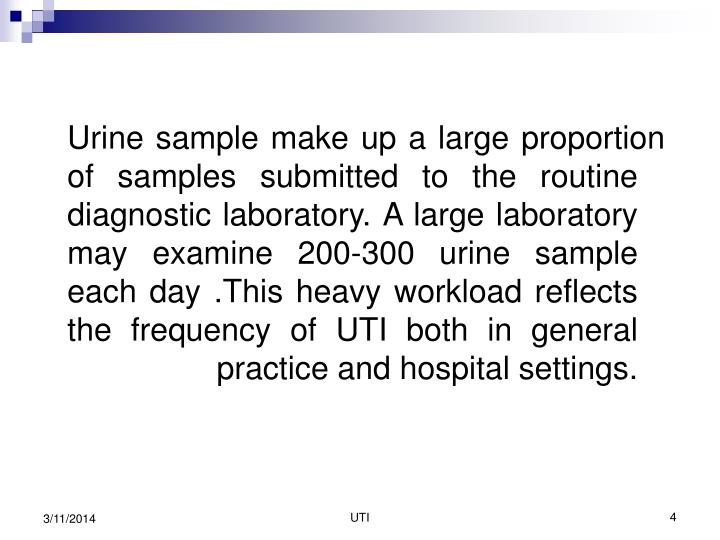PPT - Laboratory Diagnosis of Urinary Tract Infections PowerPoint ...