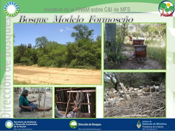 PPT - Bosque Modelo Formoseño PowerPoint Presentation, free download ...