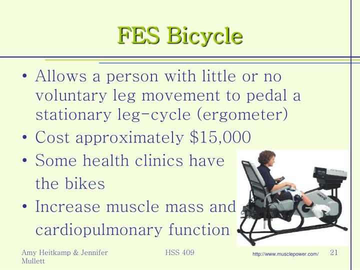 PPT - Functional Electrical Stimulation PowerPoint Presentation - ID:284779