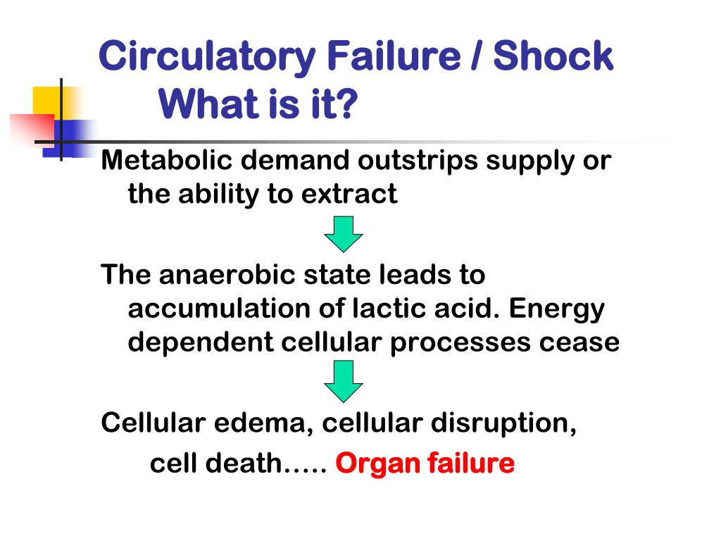 PPT - Pharmacologic Management of Acute Circulatory Failure: Vasoactive ...