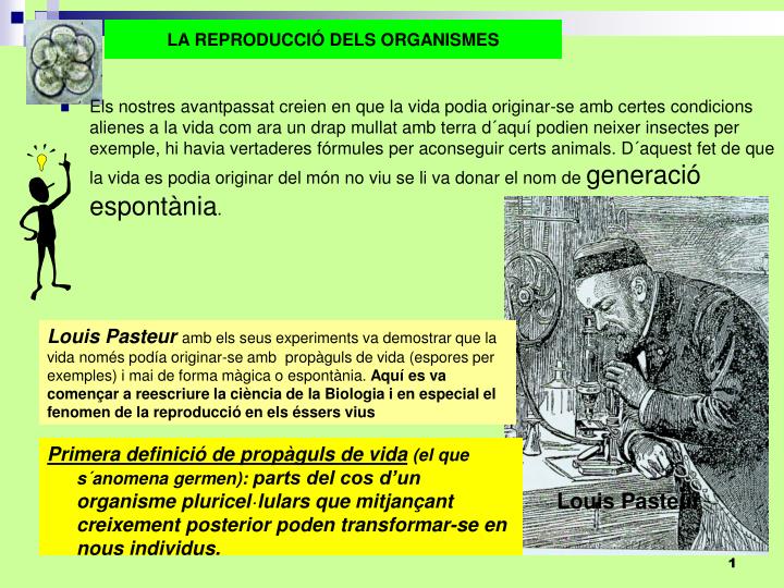 PPT - Louis Pasteur PowerPoint Presentation, free download - ID:286074