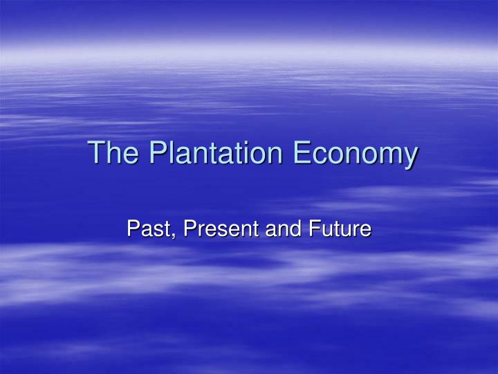 What Is A Plantation Economy at James Pettry blog