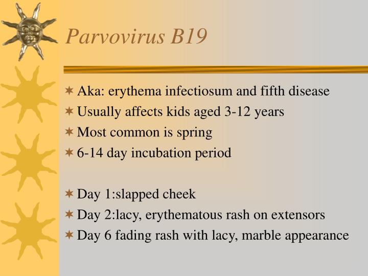 PPT - Papules, Purpura, Petechia and Other Pediatric Problems: A Review ...