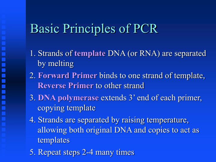 PPT - Computational Biology, Part 5 PCR Primer Design & Basic ...