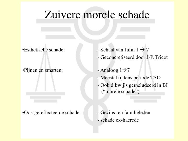 PPT - Evaluatie van menselijke schade Uw patient, zijn schade, zijn ...