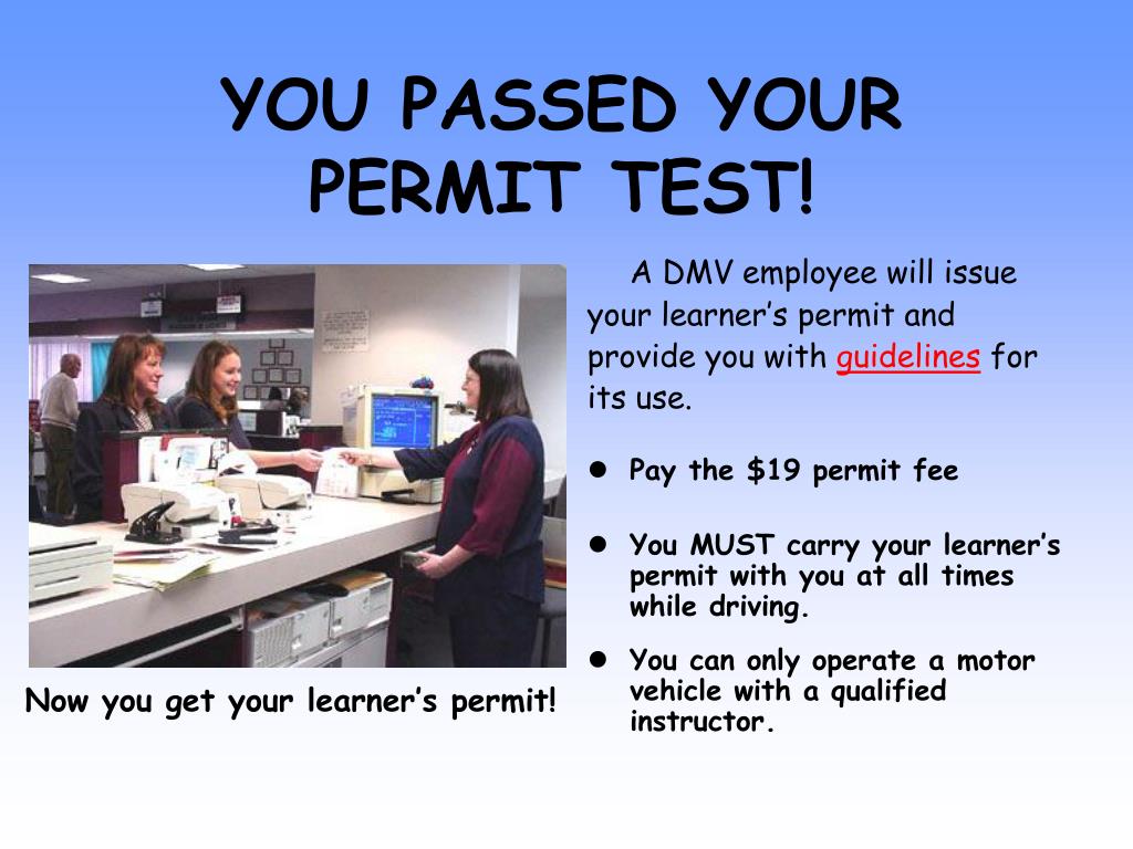 PPT - DMV TEEN’S PAGE PowerPoint Presentation, free download - ID:289067
