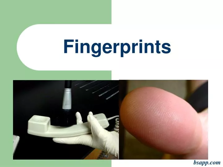 PPT - Fingerprints PowerPoint Presentation, free download - ID:289119