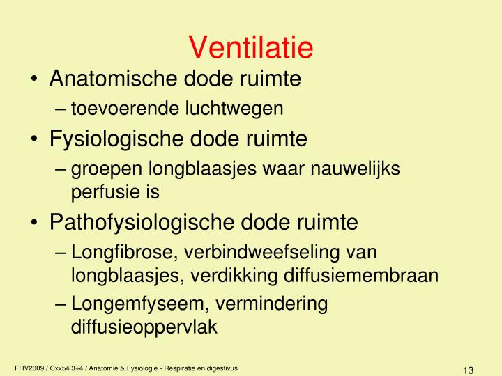 PPT - Respiratie 2 PowerPoint Presentation - ID:289375