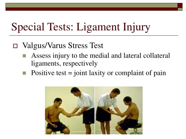 PPT - Chapter 23: The Elbow PowerPoint Presentation - ID:289432