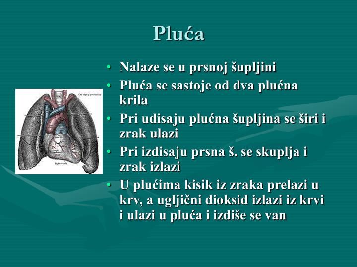 PPT - ORGANI ZA PROBAVU I DISANJE PowerPoint Presentation - ID:289747