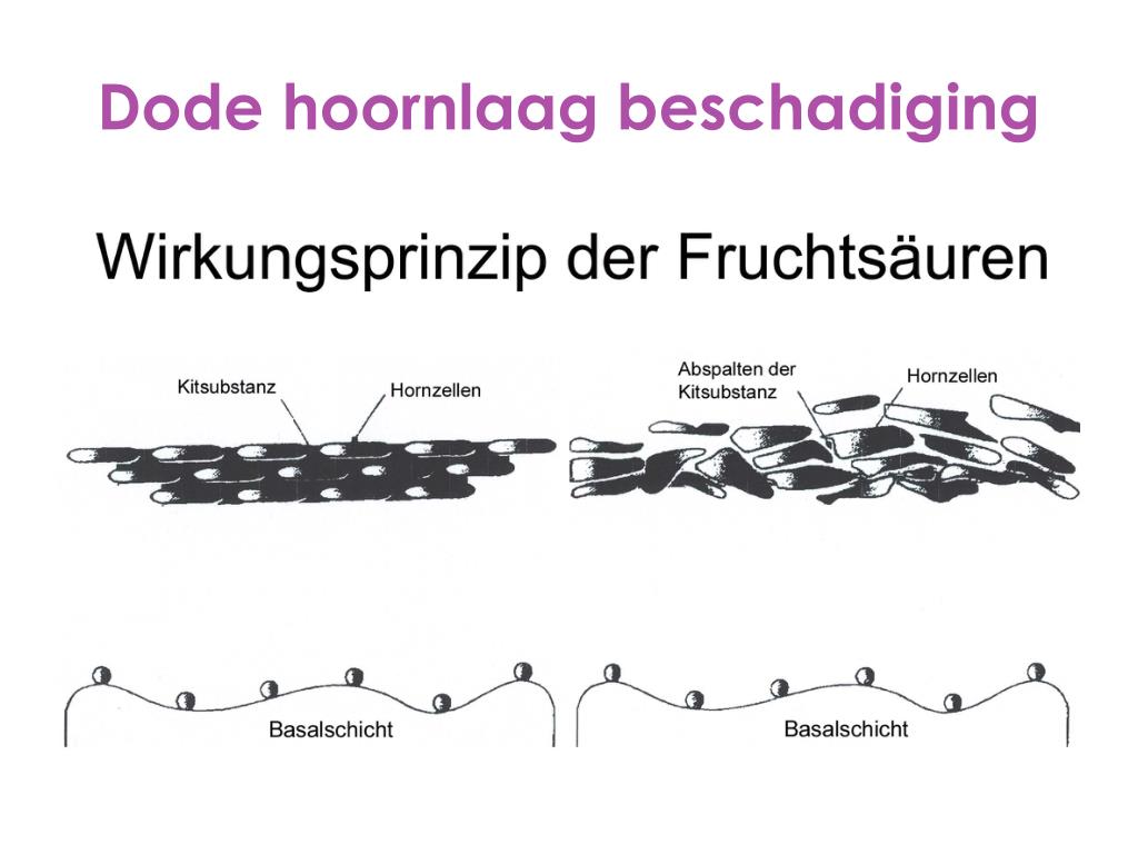 PPT - De dode hoornlaag met respect behandelen want zij leeft ...