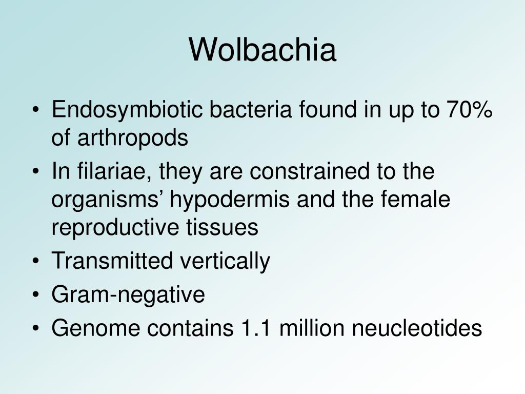 PPT - The ability of tetracyclines to treat Lymphatic Filariasis by ...
