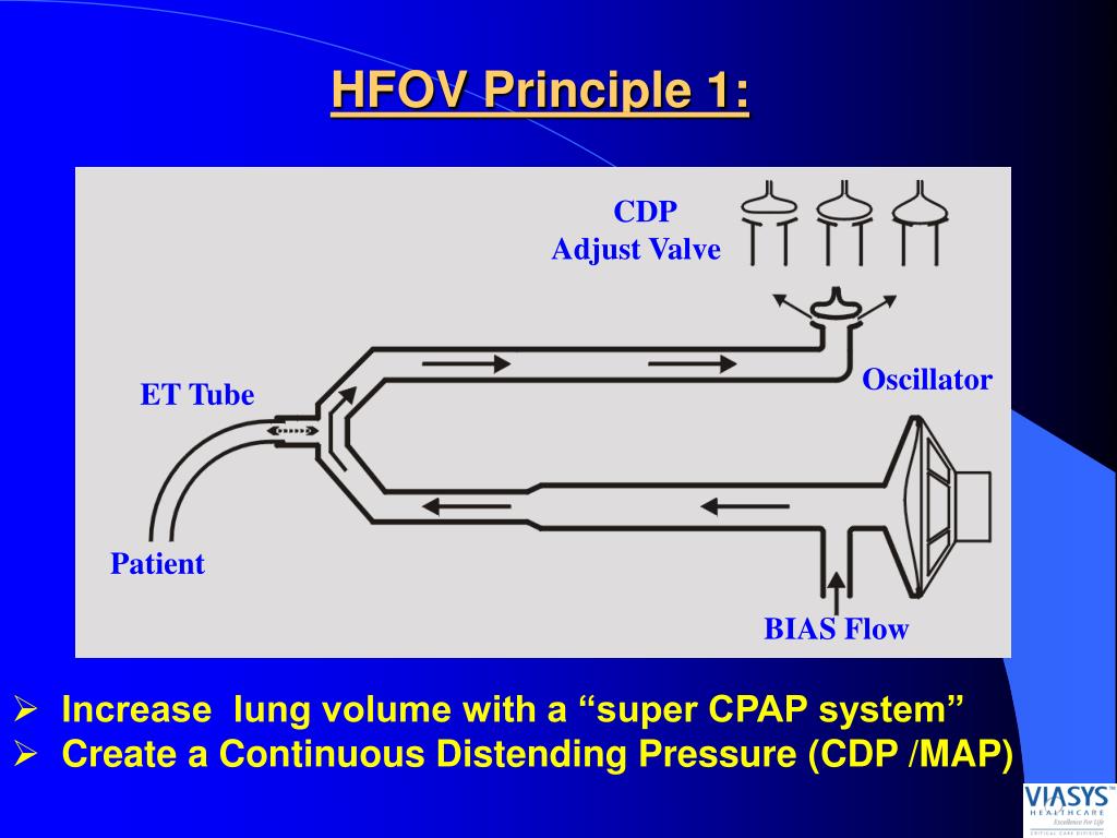 PPT - VIASYS HEALTHCARE INTERNATIONAL PowerPoint Presentation, free ...